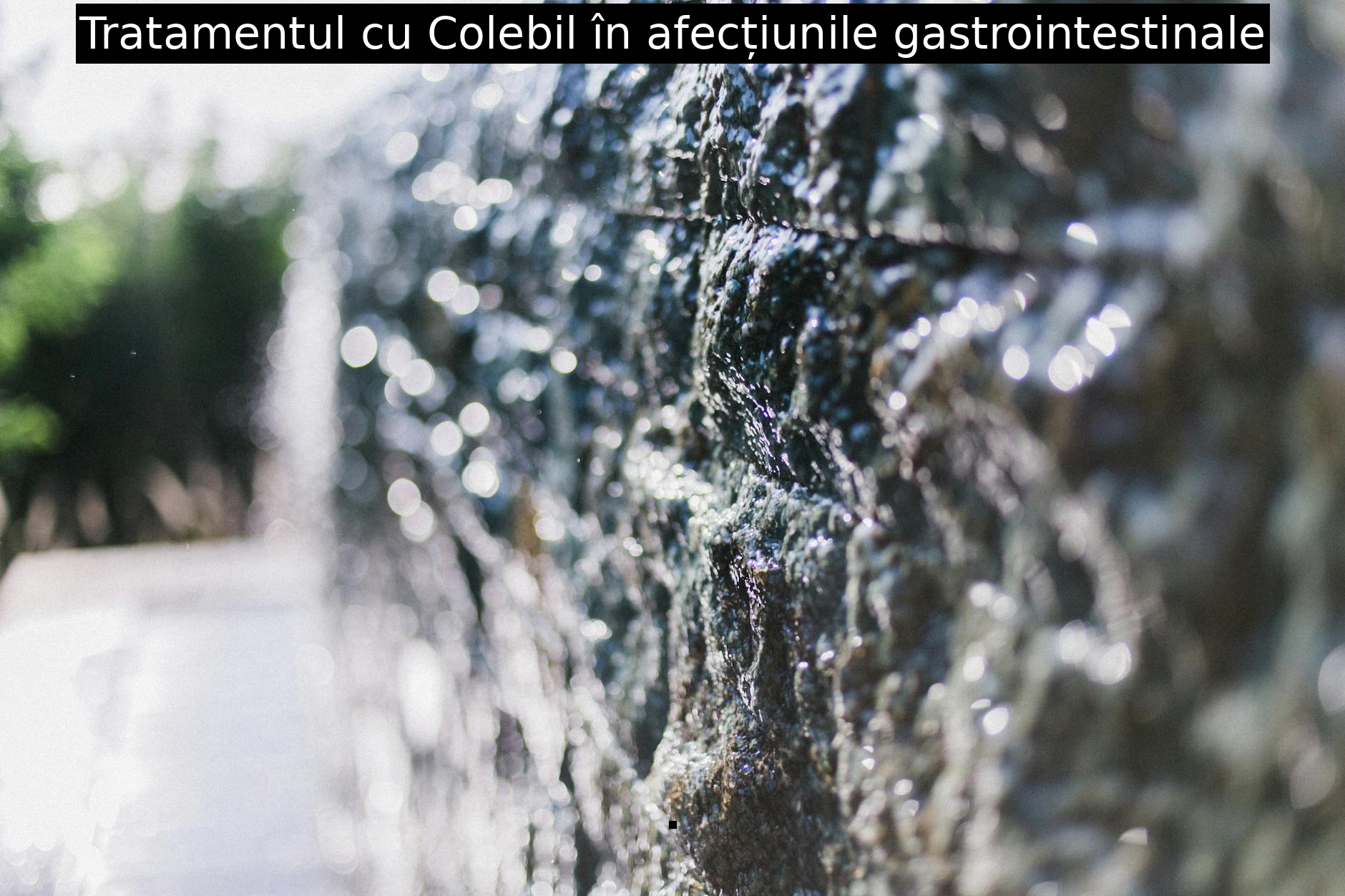Tratamentul cu Colebil în afecțiunile gastrointestinale - Nutritie ...